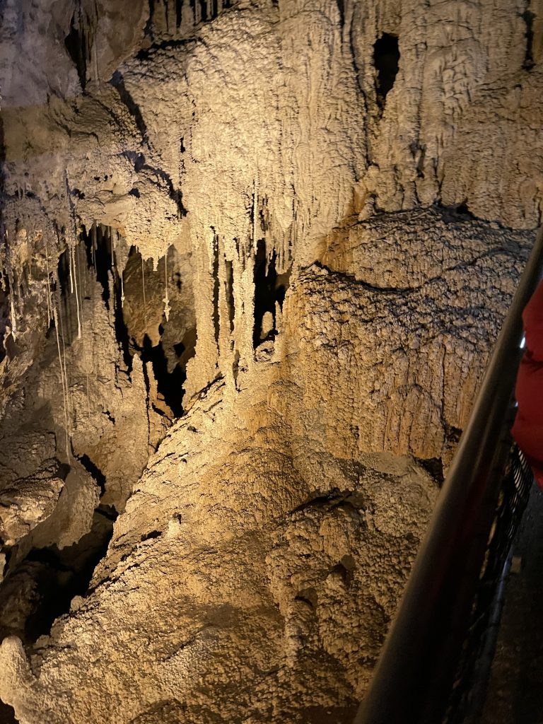 Marakoopa Cave (Mole Creek) - Vivid Travelogue