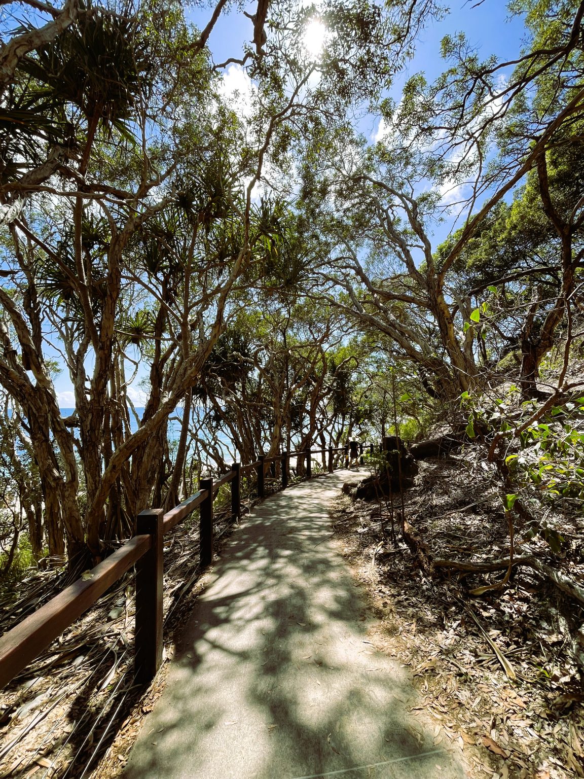 Hell's Gates hike - Noosa Heads National Park - Vivid Travelogue